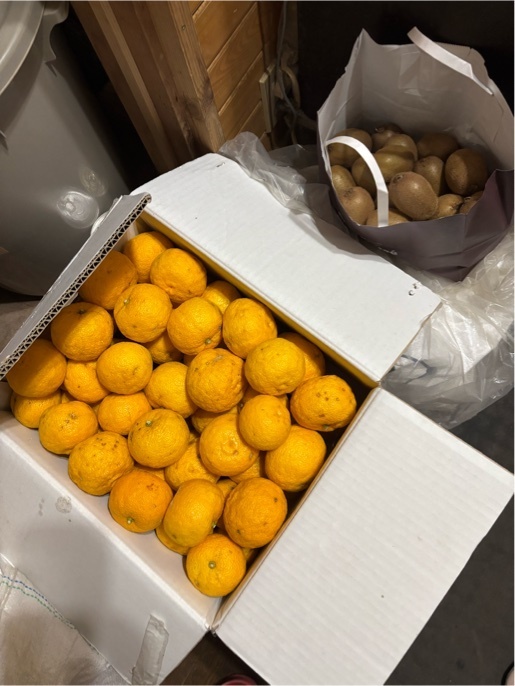 青空くっきり（28日のこと）: りっぱなロバ使いになるために